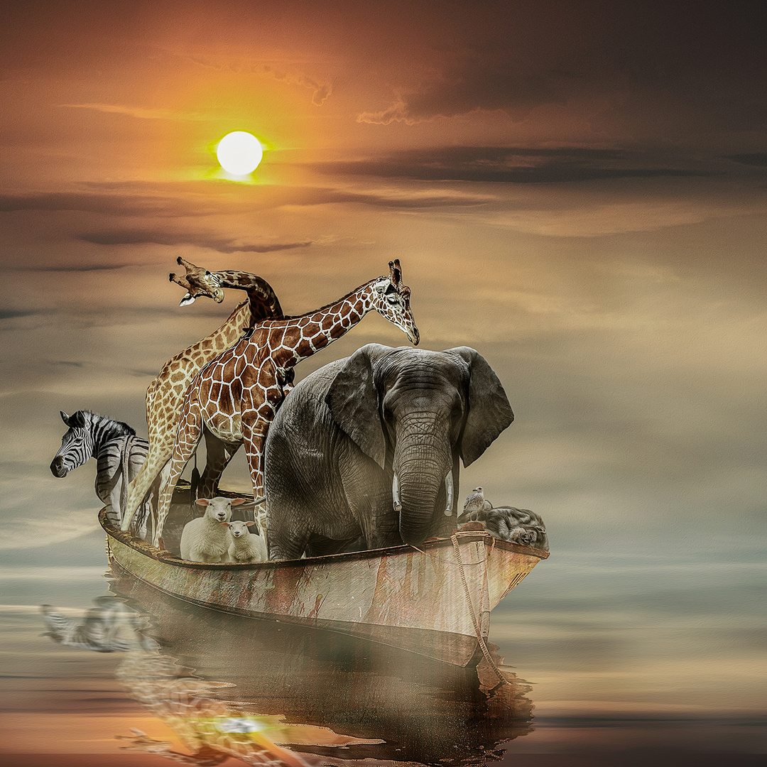 Arche Noah Foto & Bild | fotomontage, composing , digiart Bilder auf ...