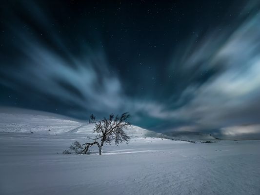Lappland / Sápmi Bilder & Fotos