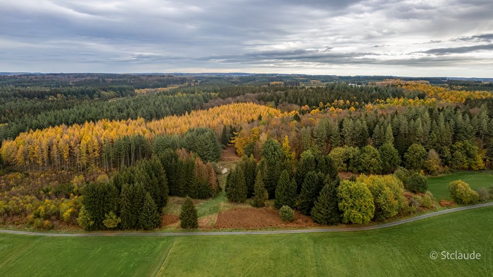 Ardenner Wald Foto & Bild | wald, belgien, bertrix Bilder auf fotocommunity