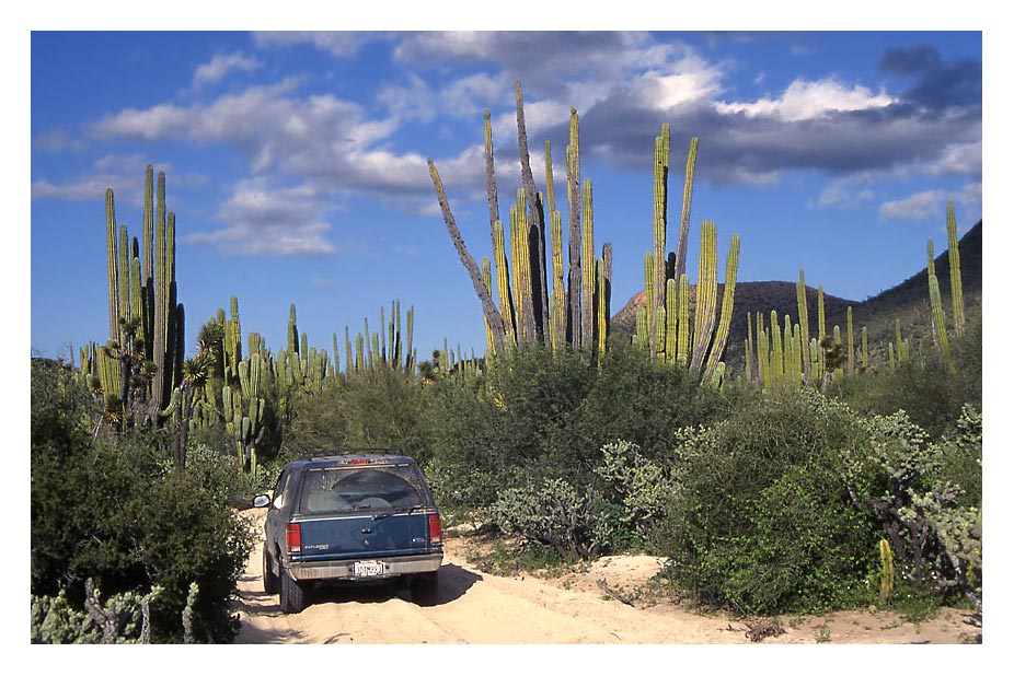 Arizona Street Foto & Bild | north america, united states, arizona ...