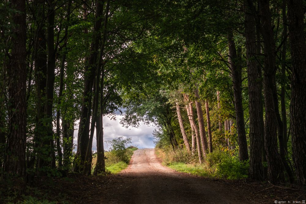 Arkadien Foto & Bild | deutschland, europe, bayern Bilder auf fotocommunity