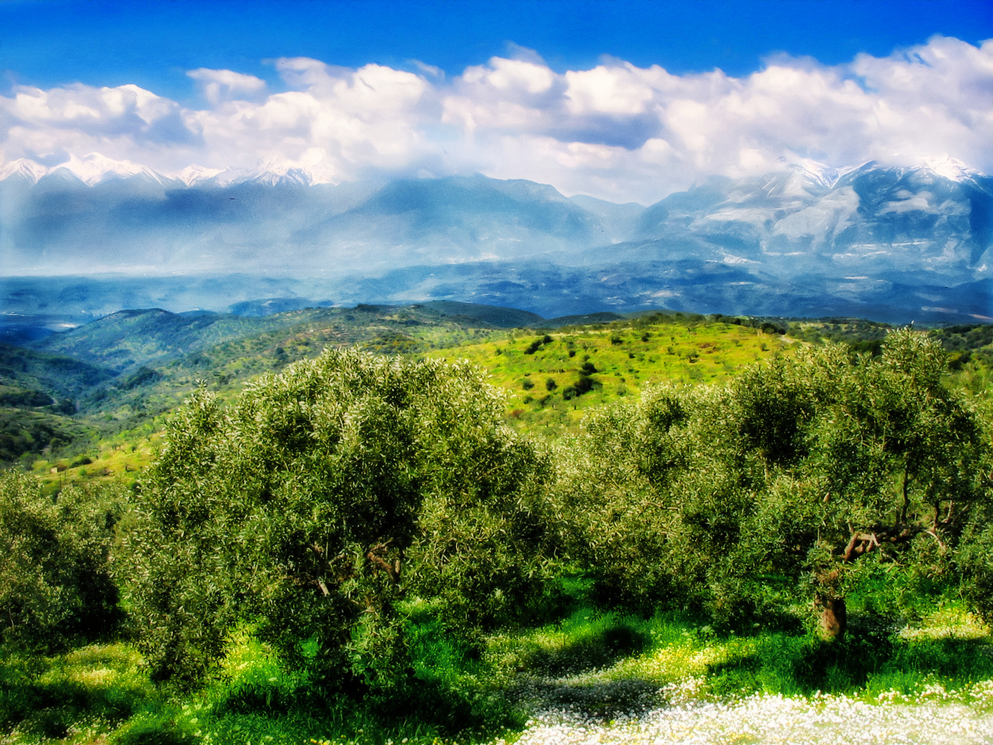 arkadien-olivenhain Foto & Bild | europe, greece, landschaft Bilder auf ...