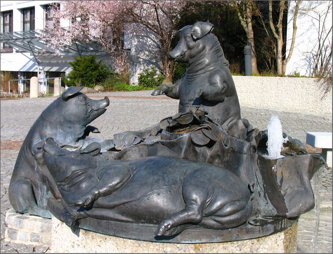 Arme Sau, reiche Sau, faule Sau . . . Foto & Bild | kunstfotografie ...