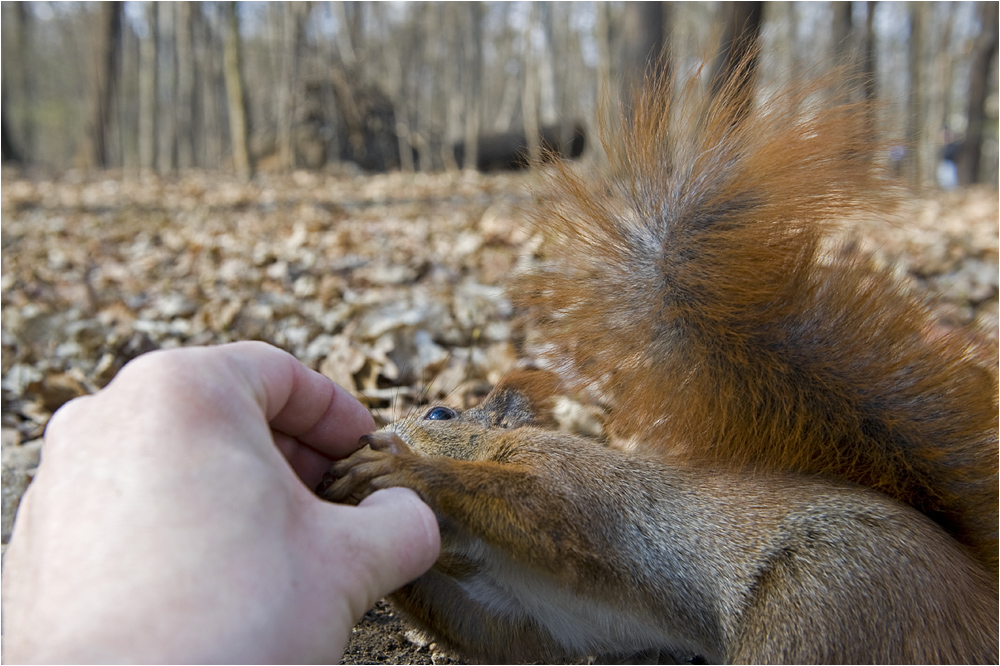 Arrgghh... Foto & Bild | tiere, wildlife, säugetiere Bilder auf ...