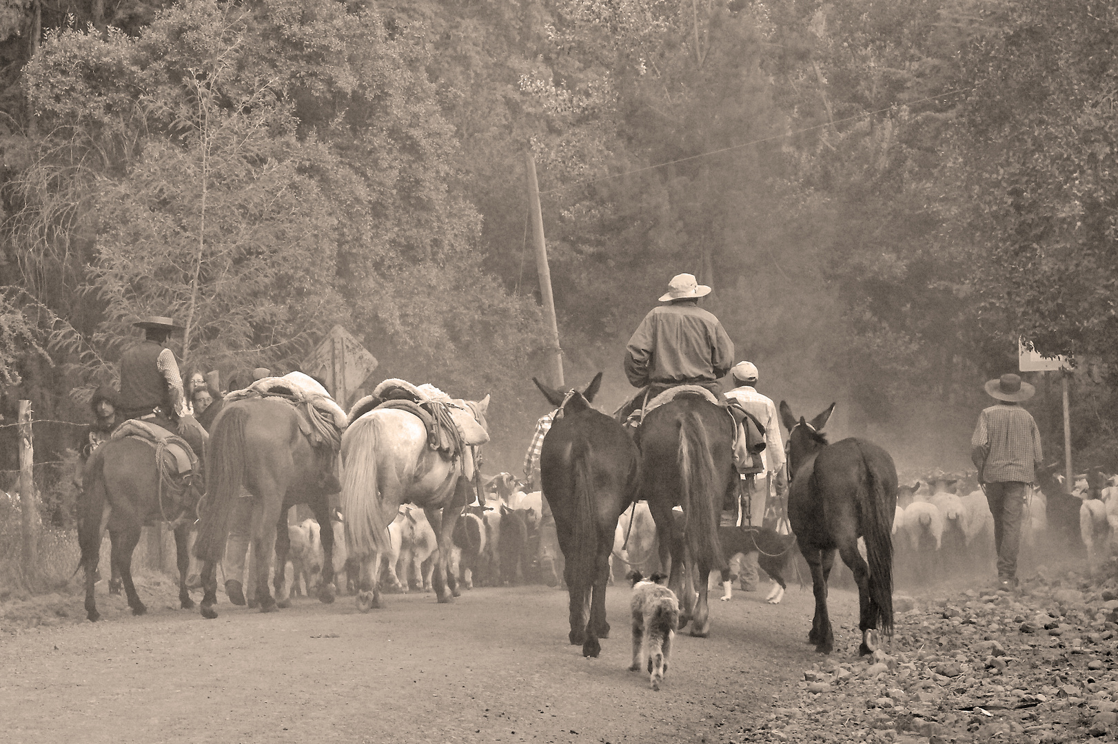Arrieros Imagen & Foto | personas Fotos de fotocommunity