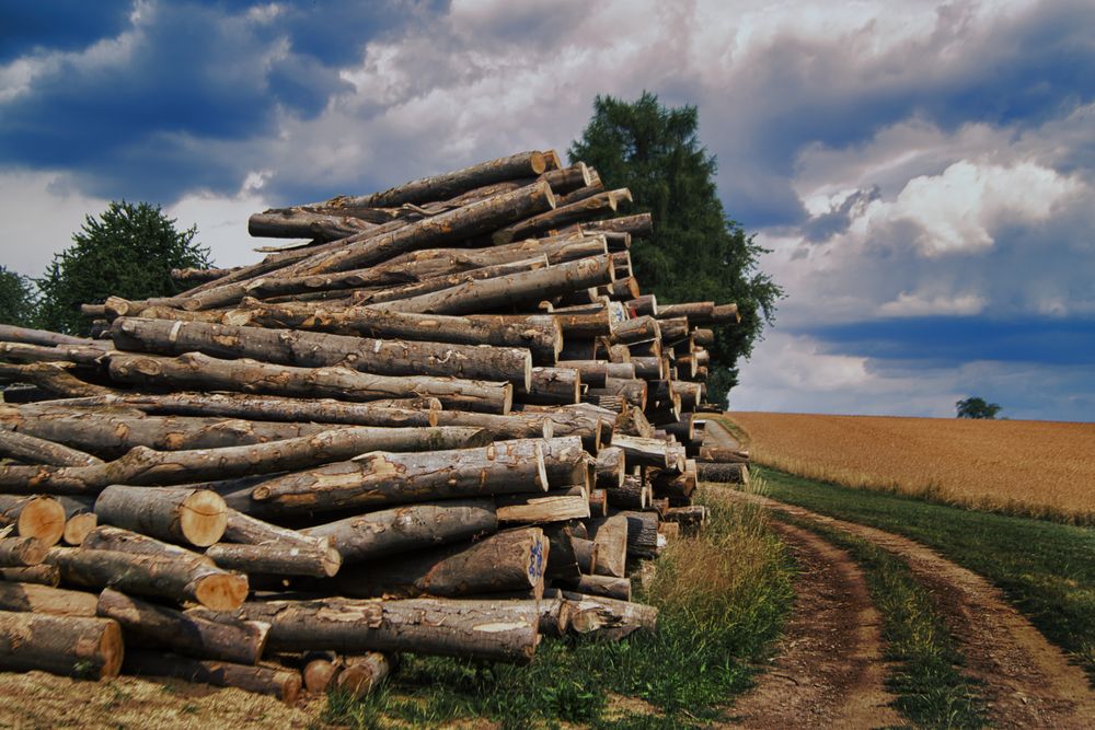 Arrive somewhere Foto & Bild | bäume, wolken, wiese Bilder auf ...