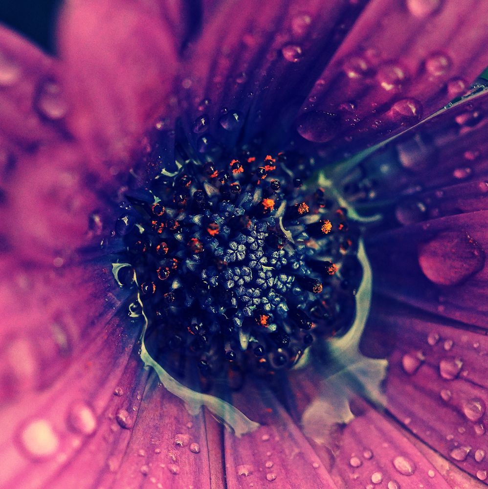 ART in lila Foto & Bild | fotos, art, spezial Bilder auf fotocommunity