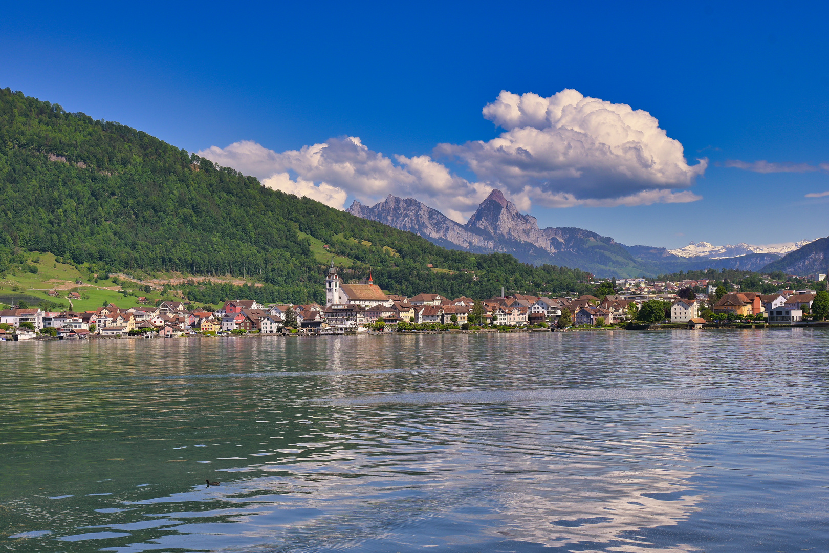 Arth am See mit unserem Hausberg, den Mythen Foto & Bild | natur ...