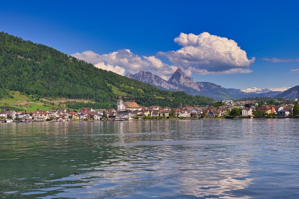 Arth am See mit unserem Hausberg, den Mythen Foto & Bild | natur ...