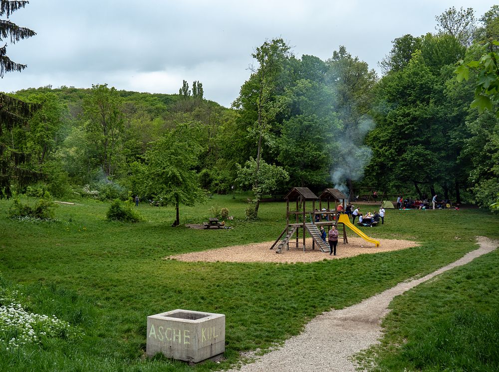 asche Foto & Bild | world, lumix, panasonic Bilder auf fotocommunity