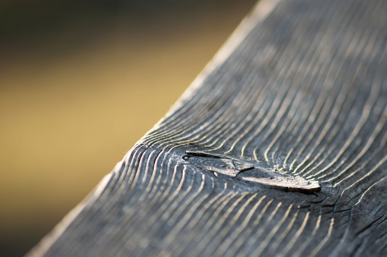 Astloch Foto & Bild | architektur, architektonische details ...