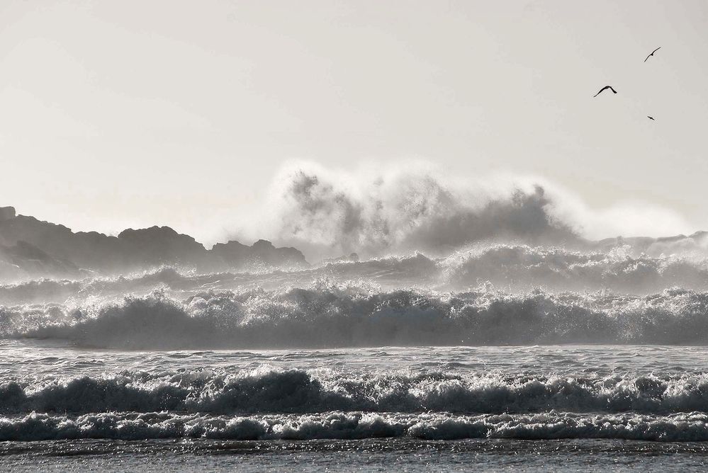 Atlantik Foto & Bild | europe, portugal, landschaft Bilder auf ...