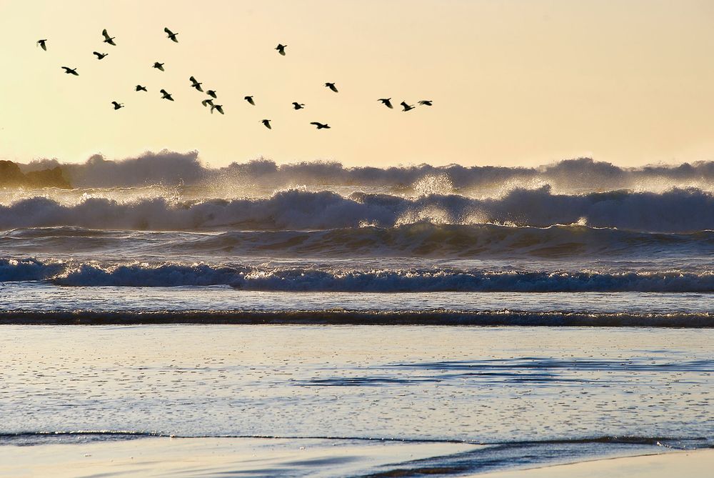 Atlantik Foto & Bild | world, meer, natur Bilder auf fotocommunity