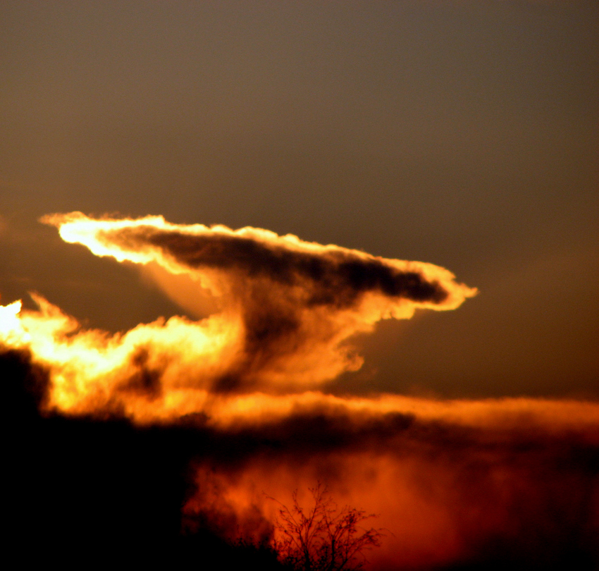 Atompilz Foto & Bild | deutschland, europe, niedersachsen Bilder auf ...