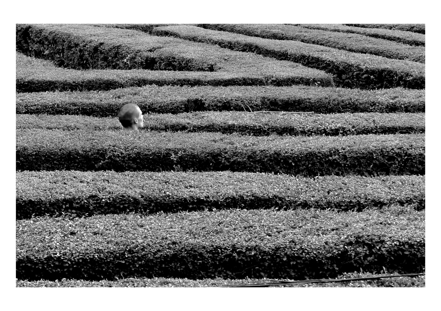 atrapado Imagen & Foto | personas Fotos de fotocommunity