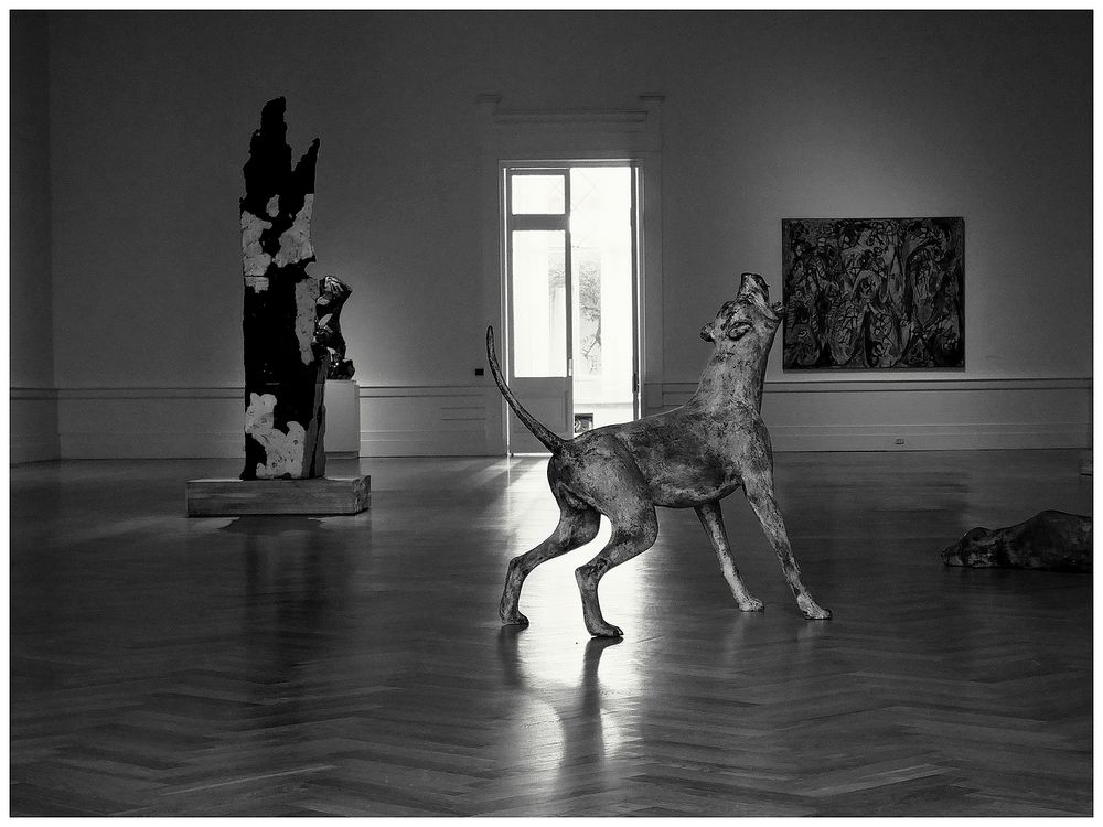 Attention chient méchant photo et image | art, italy, hund Images ...