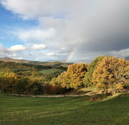 Campagna Immagini e foto