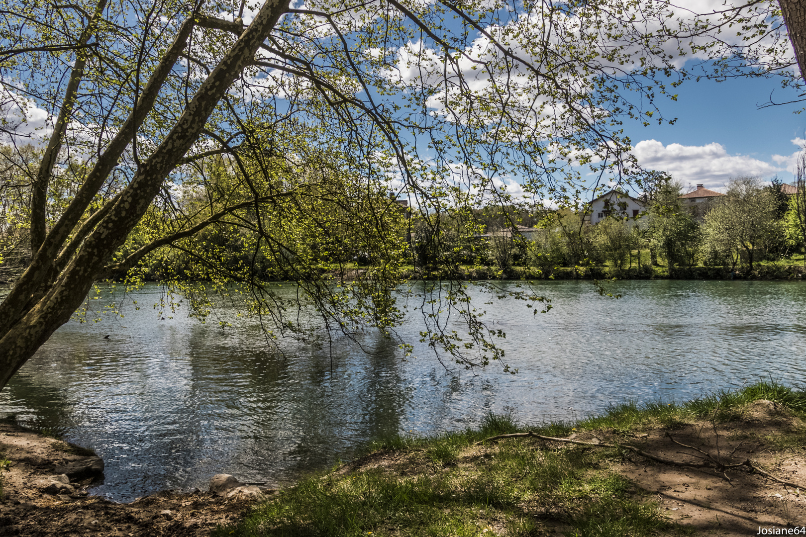 AU BORD DE LA NIVE photo et image | nature, rivière, paysages Images ...