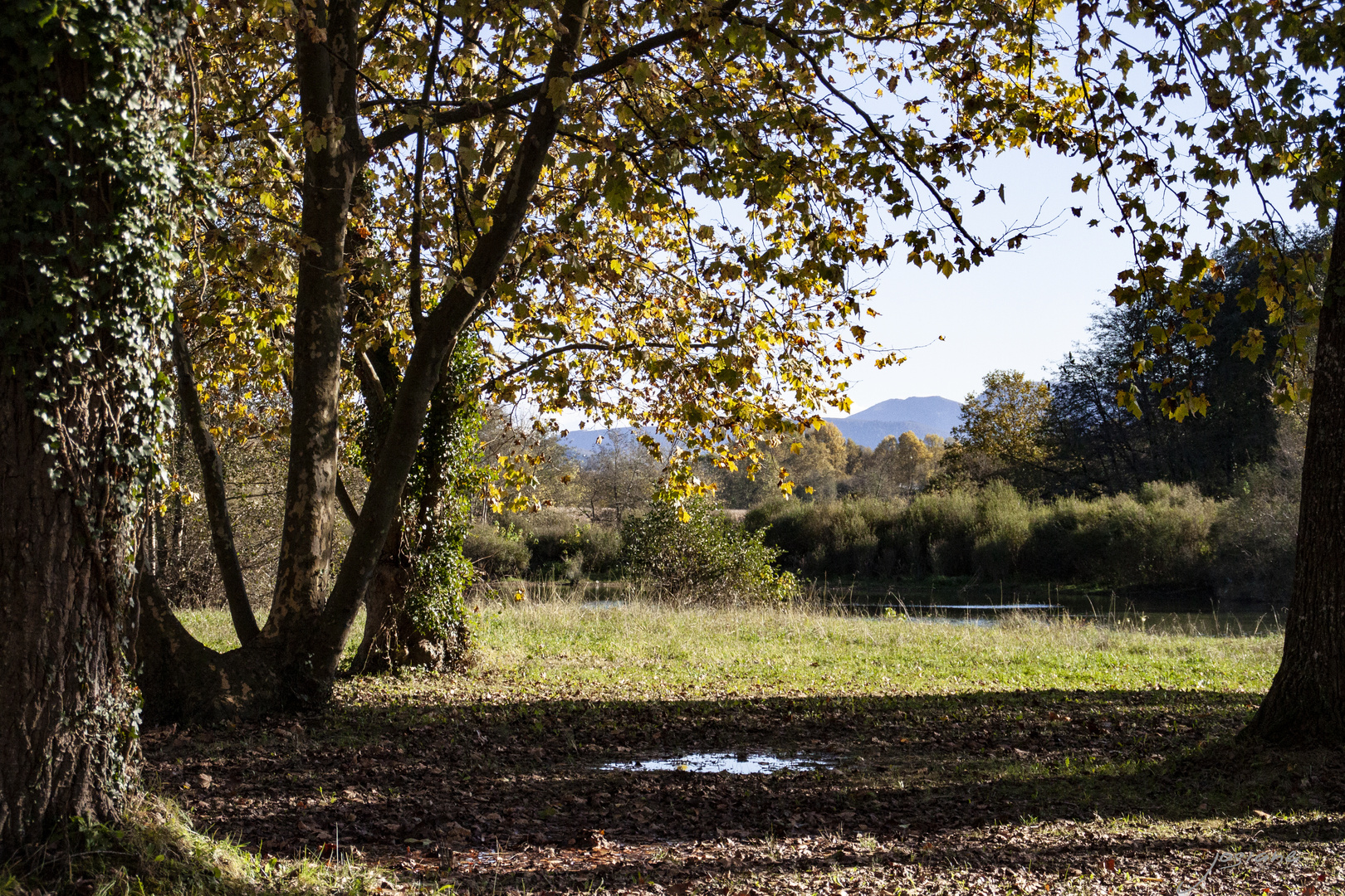 AU BORD DE LA NIVE photo et image | nature Images fotocommunity