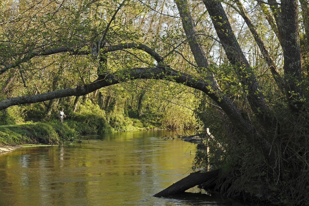 Au Bord De La Rivière 2 Photo Et Image Paysages Lacs Rivières Cascades Divers Images