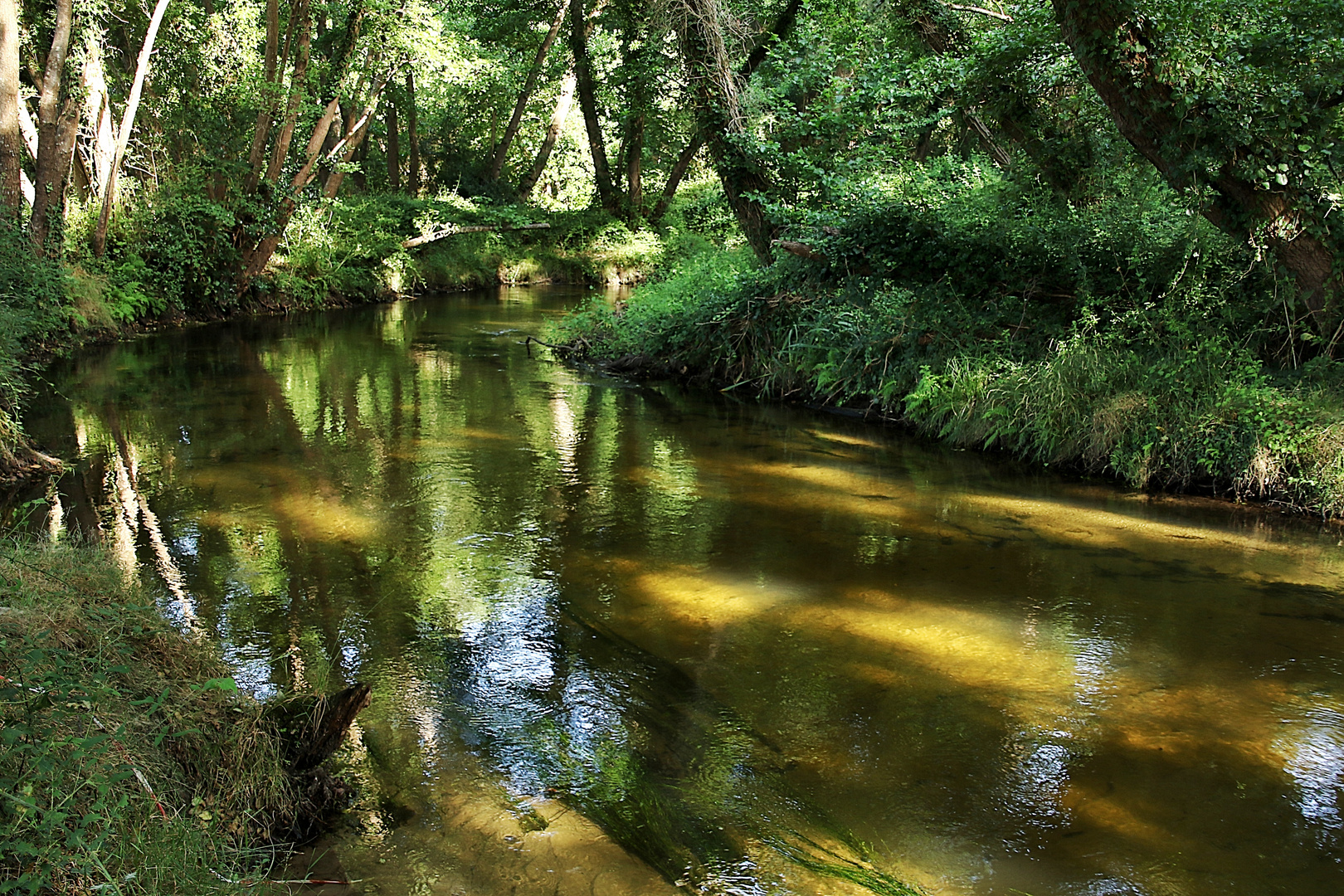 Au bord du ruisseau ! photo et image | animations photographiques, un ...