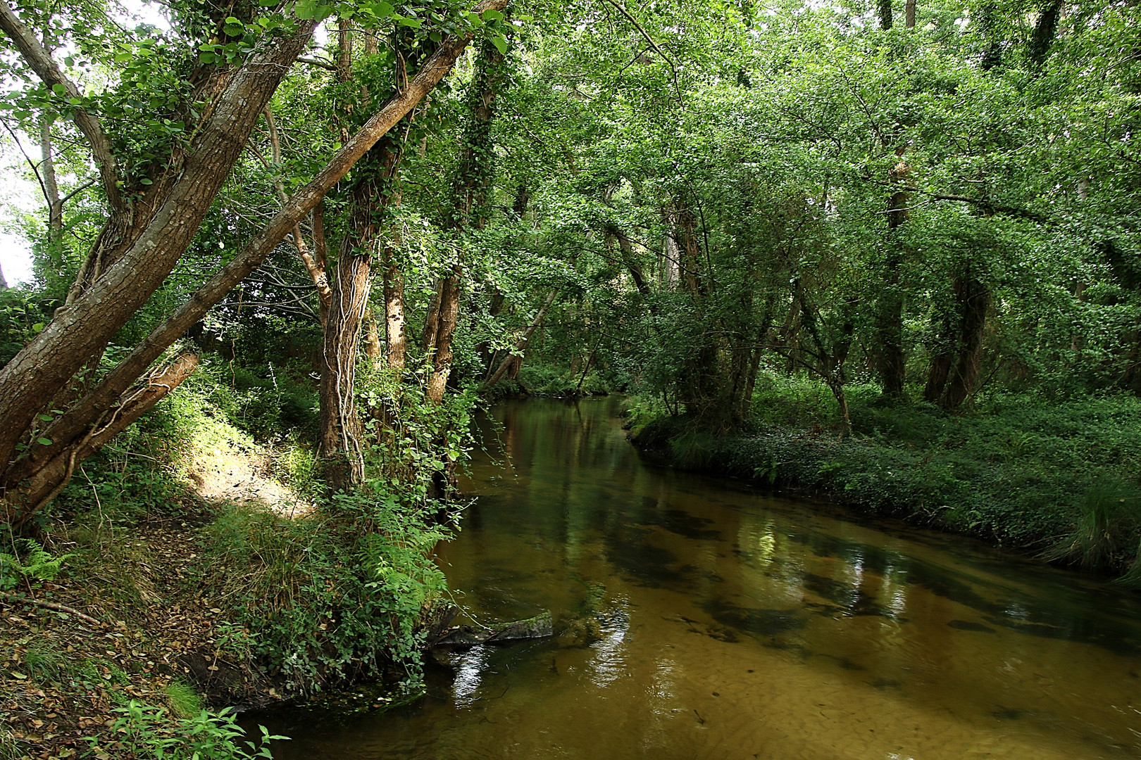 au bord du ruisseau ! photo et image | paysages, nature Images ...