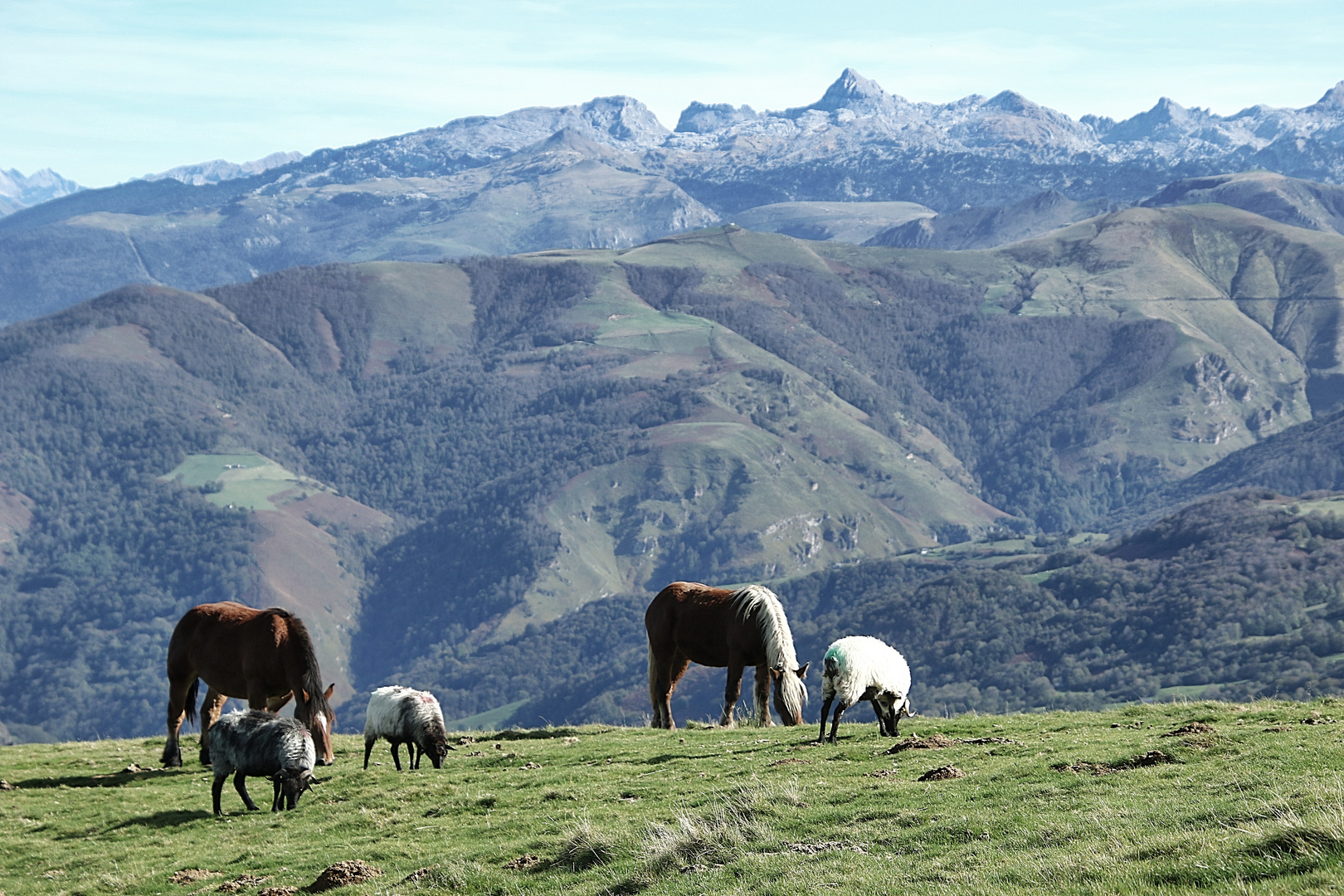 au col d'iraty ! photo et image | nature, paysages, paysages de ...