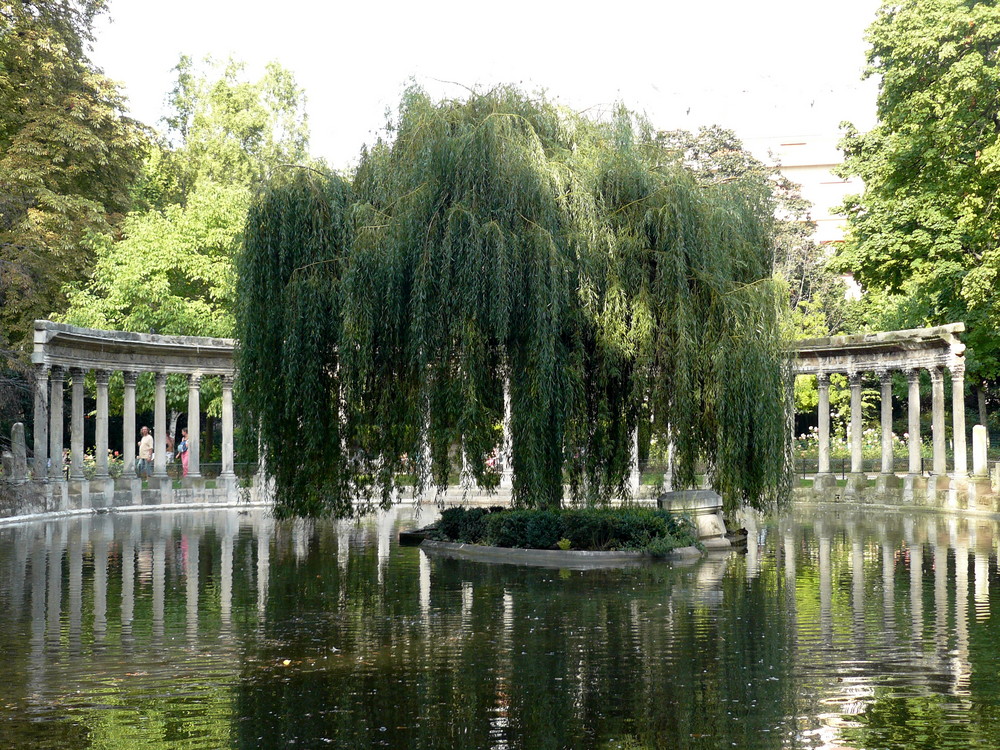 Au parc Monceau photo et image | arbres, nature Images fotocommunity Au parc Monceau photo et image | arbres, nature Images fotocommunity