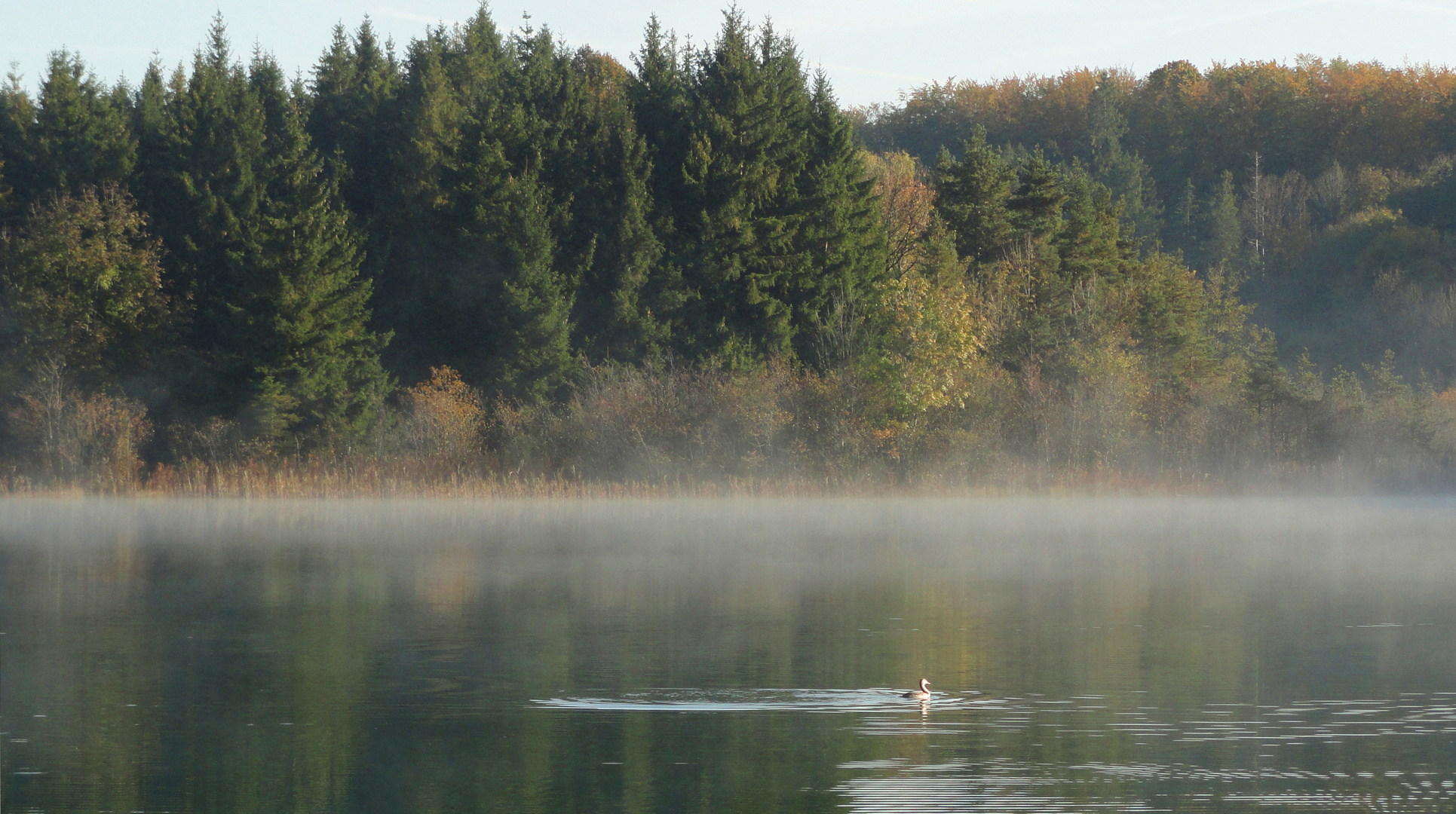 Au petit matin photo et image | paysages, lacs, rivières, cascades, paysage Images fotocommunity