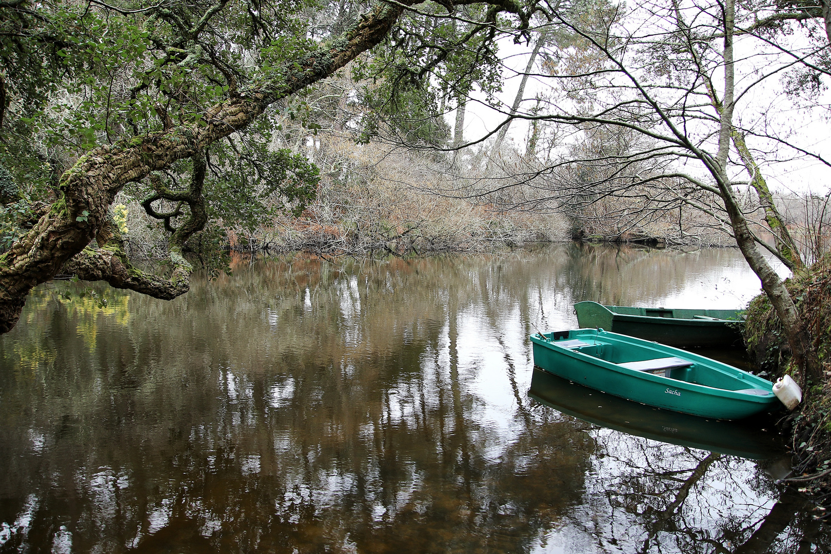 Au repos ! photo et image | animations photographiques, special Images ...