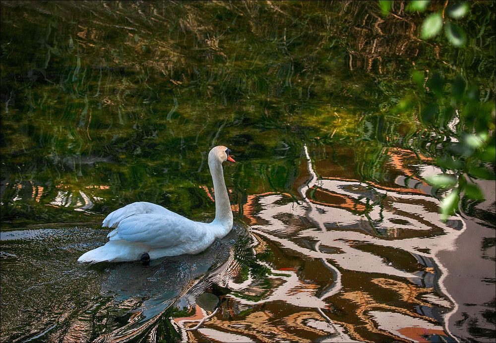 Au revoir Rémy photo et image | special, remesco, 17 octobre 2022 ...
