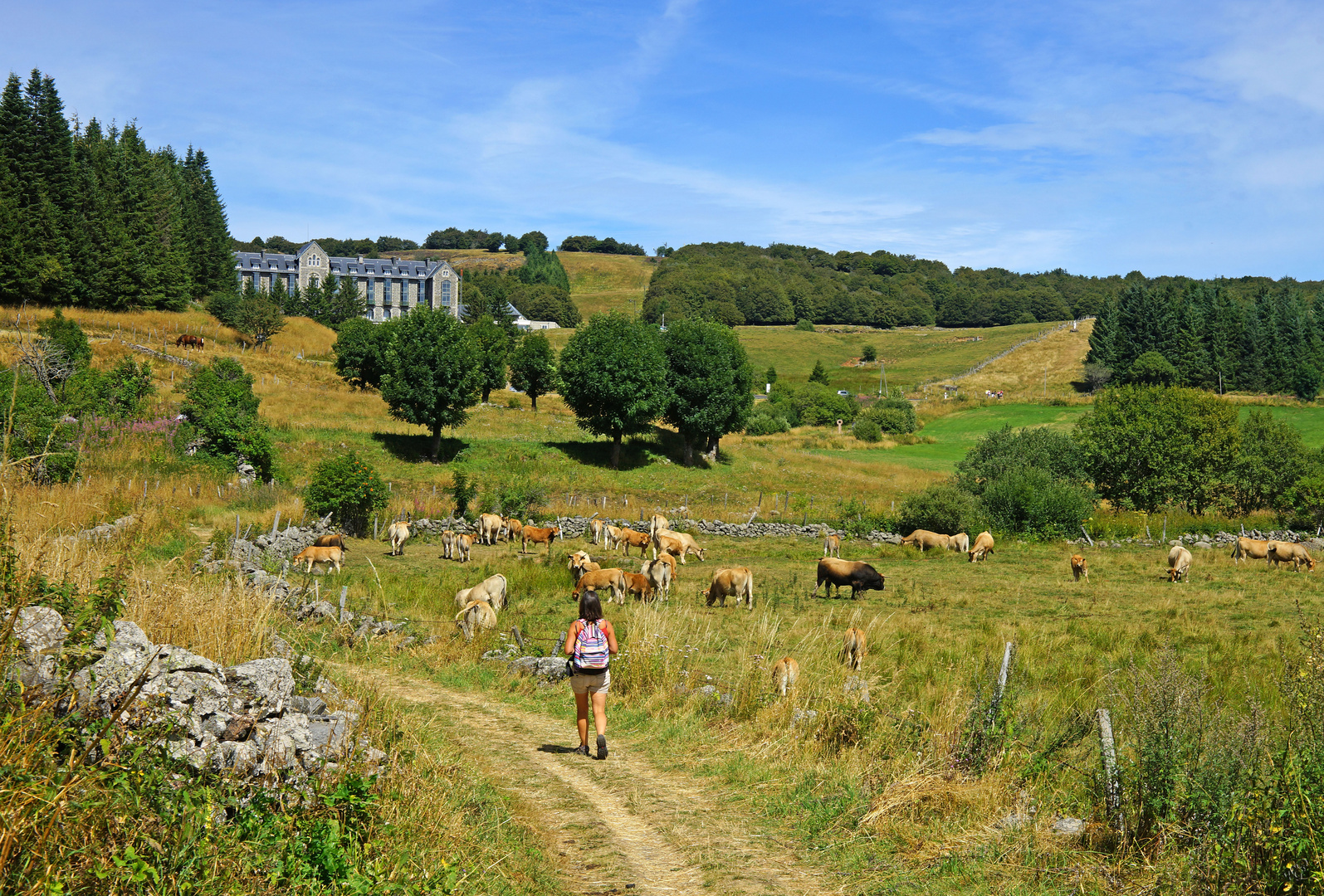 AUBRAC photo et image | voyages en france, nature Images fotocommunity