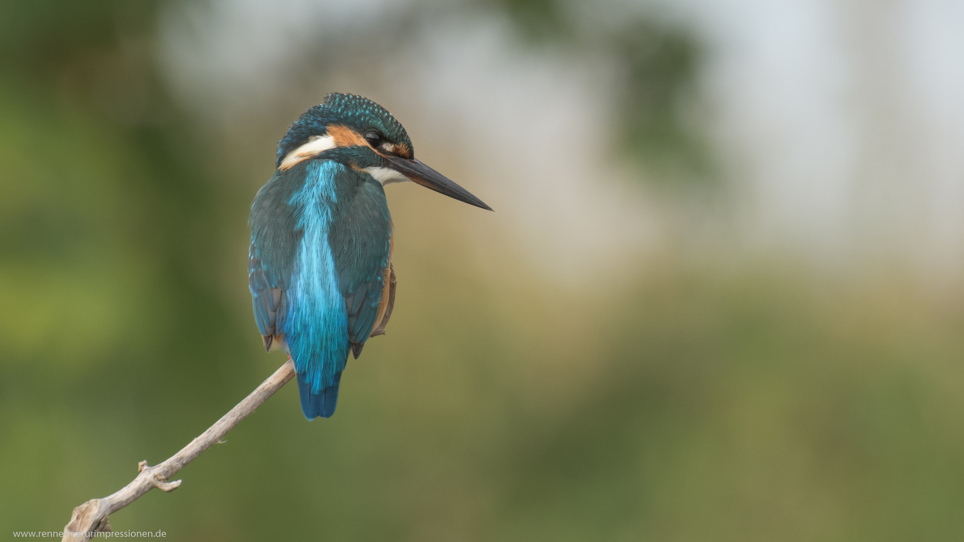Auch ein Rücken kann entzücken. Foto & Bild | brandenburg, deutschland ...