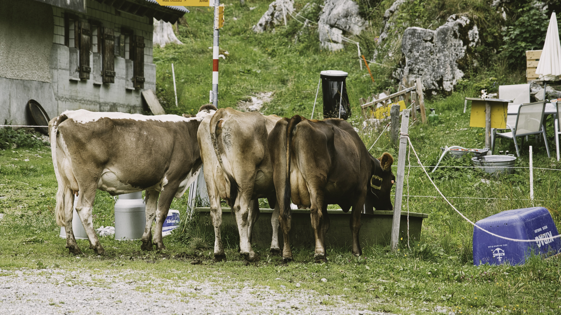 Auch ein schöner Rücken kann entzücken.... Foto & Bild | europe ...