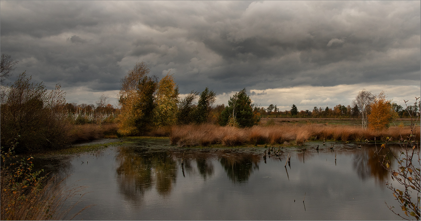 Auch in den Mooren . . . Foto & Bild | landschaft, jahreszeiten, moor ...