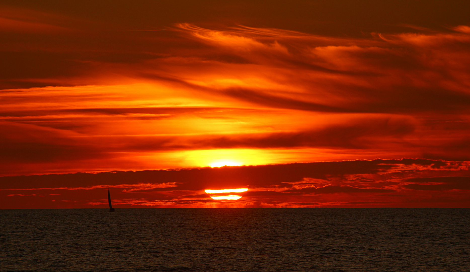 Audace.. photo et image | emotions Images fotocommunity