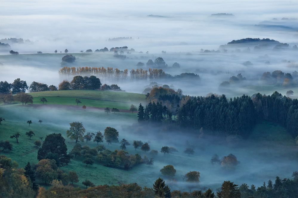 Auenland Foto & Bild | landschaft, kulturlandschaften, wald Bilder auf ...