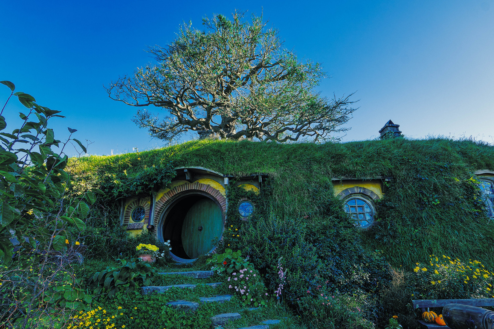 Auenland - Hobbingen #03 Foto & Bild | world, new zealand, herr der ringe Bilder auf fotocommunity