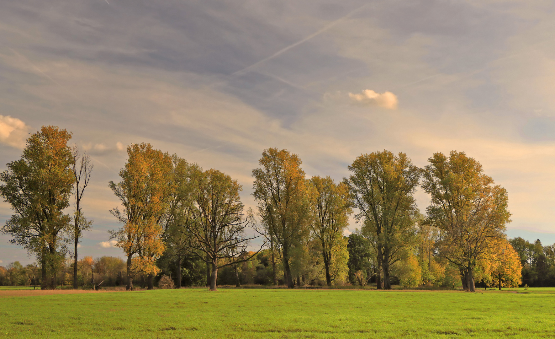 Auenlandschaft im Herbst (2) Foto & Bild | landschaft, jahreszeiten, herbst Bilder auf fotocommunity