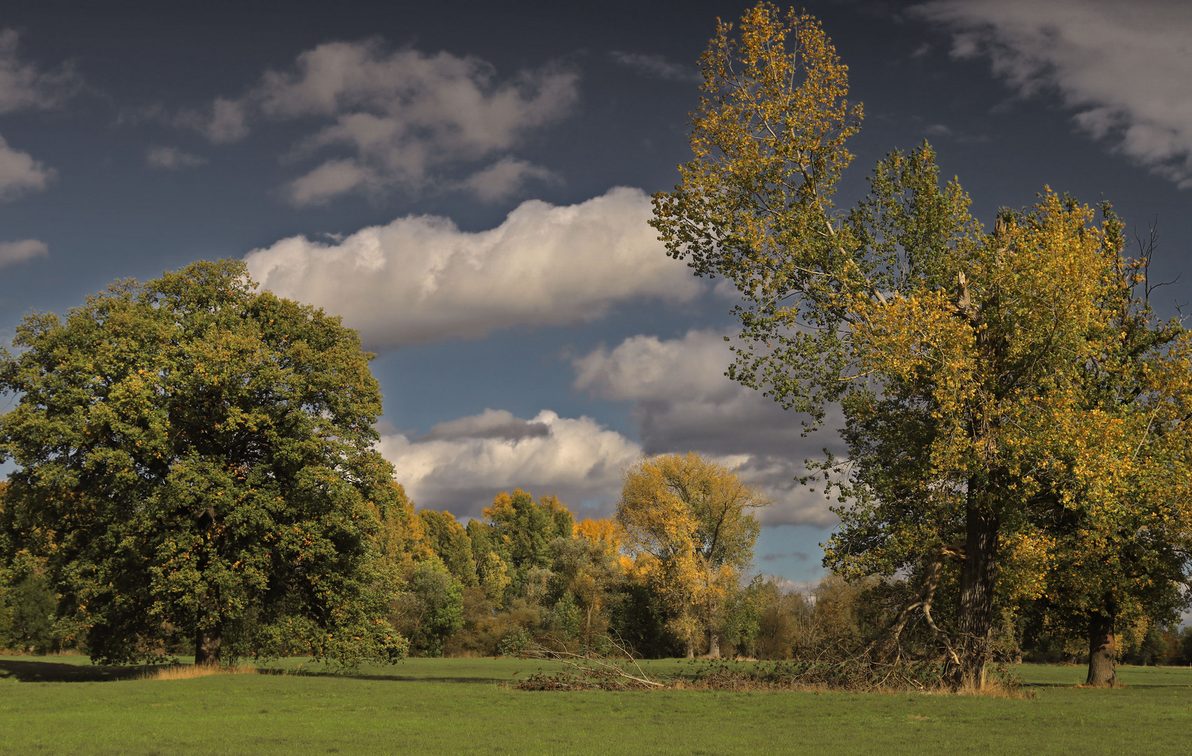 Auenlandschaft im Herbst Foto & Bild | landschaft, jahreszeiten, herbst Bilder auf fotocommunity