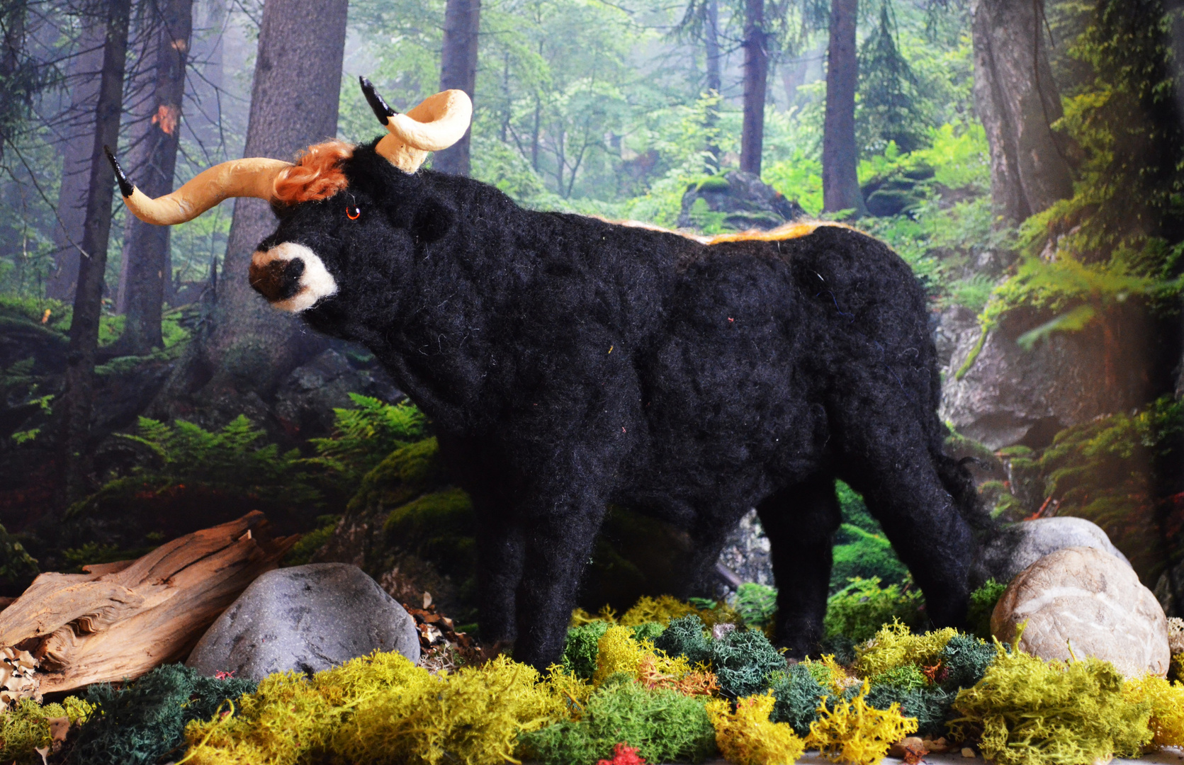 Auerochse Bos primigenius Foto & Bild | stillleben, arrangierte szenen ...