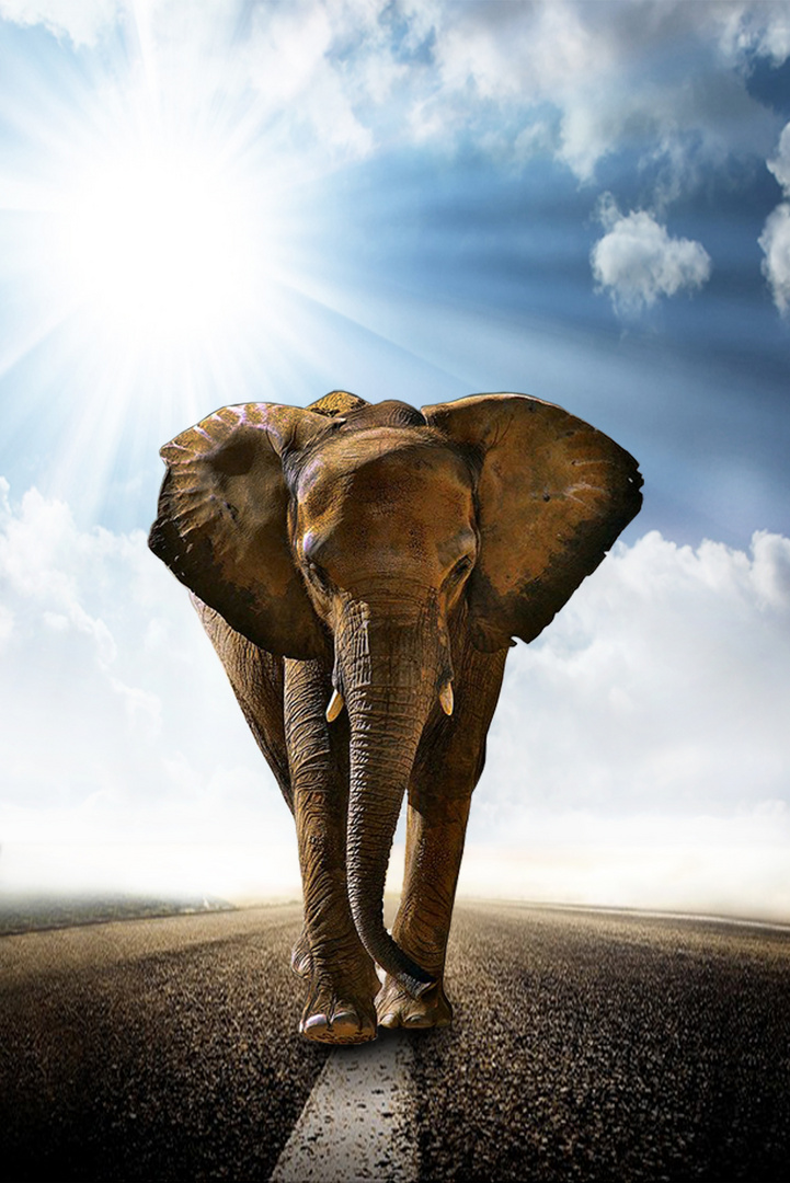 auf Abwegen Foto & Bild | fotomontage, composing , digiart Bilder auf fotocommunity