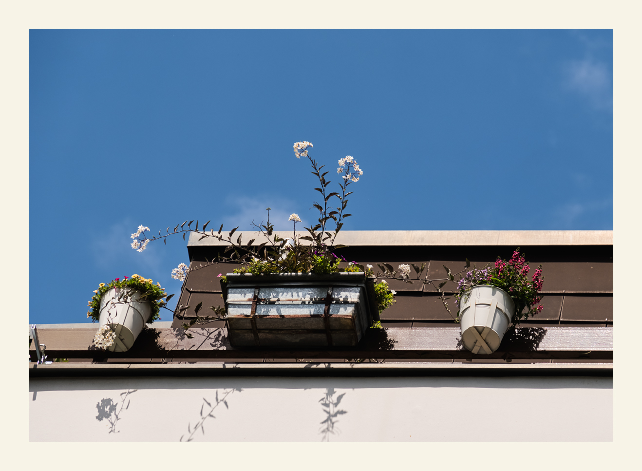 auf dem Balkon Foto & Bild | world, sommer, outdoor Bilder auf ...