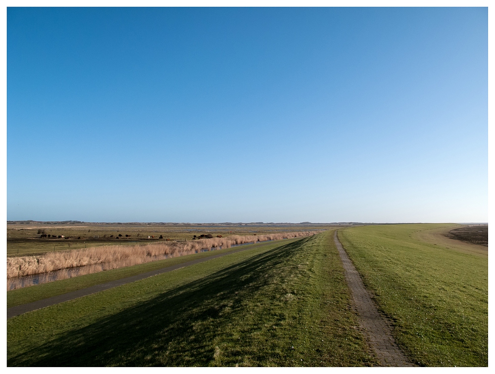 Auf dem Deich Foto & Bild | nordsee Bilder auf fotocommunity