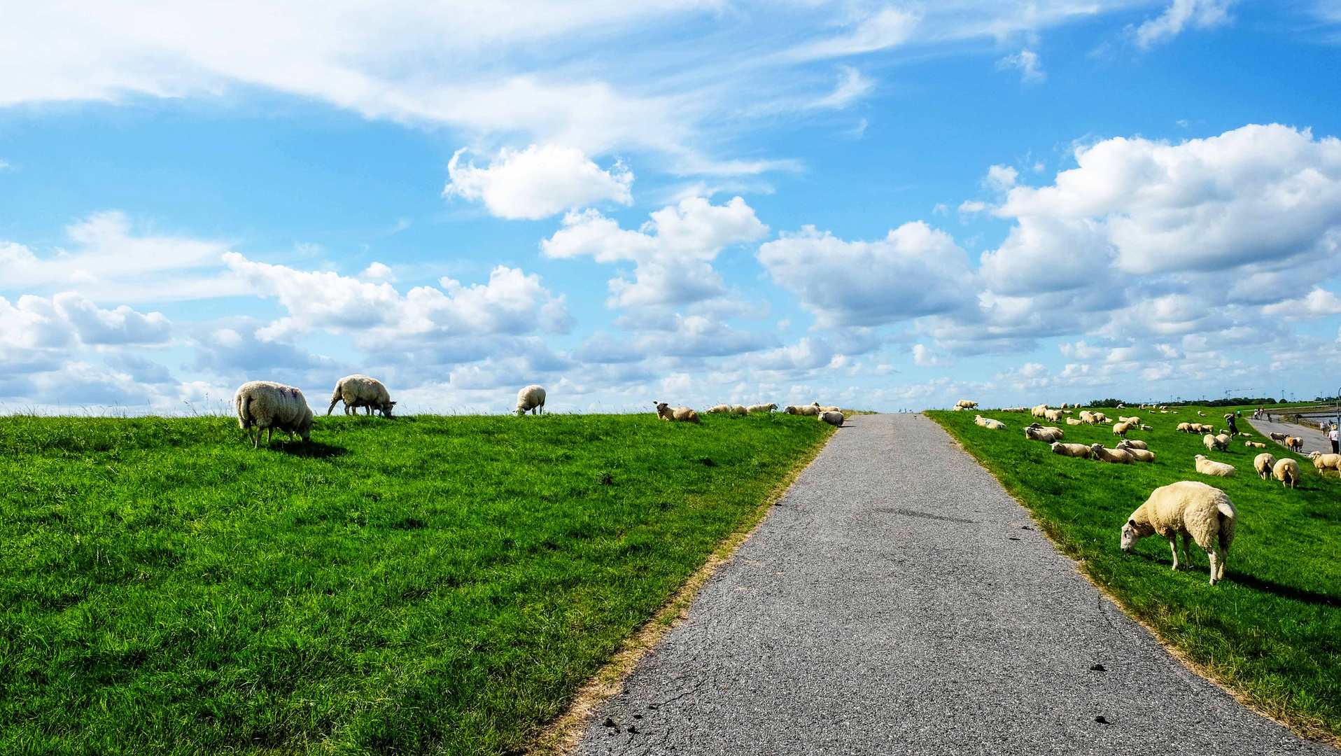 Auf dem Deich Foto & Bild | deutschland, europe, niedersachsen Bilder ...