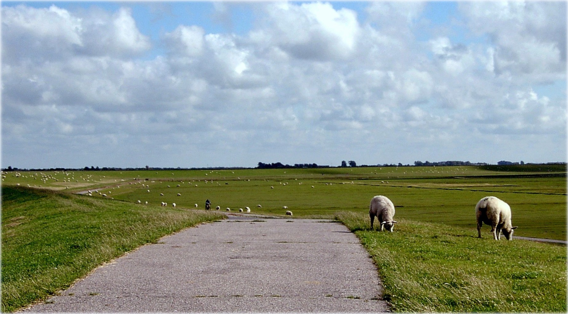 Auf dem Deich in Nordfriesland Foto & Bild | deutschland, europe ...