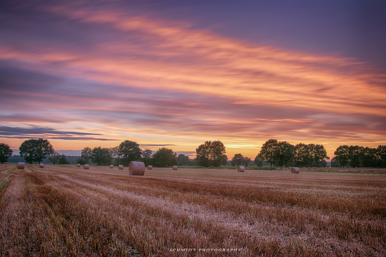 Auf dem Feld Foto & Bild | fotos, landschaften, outdoor Bilder auf ...
