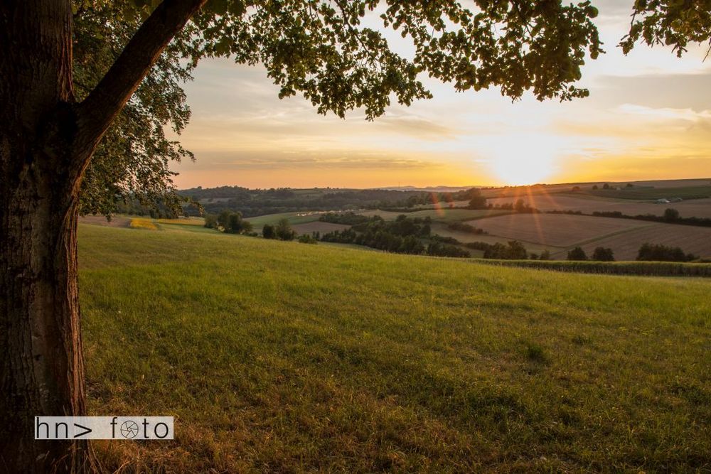 Auf dem Felde! Foto & Bild | pflanzen, pilze & flechten, landschaft ...
