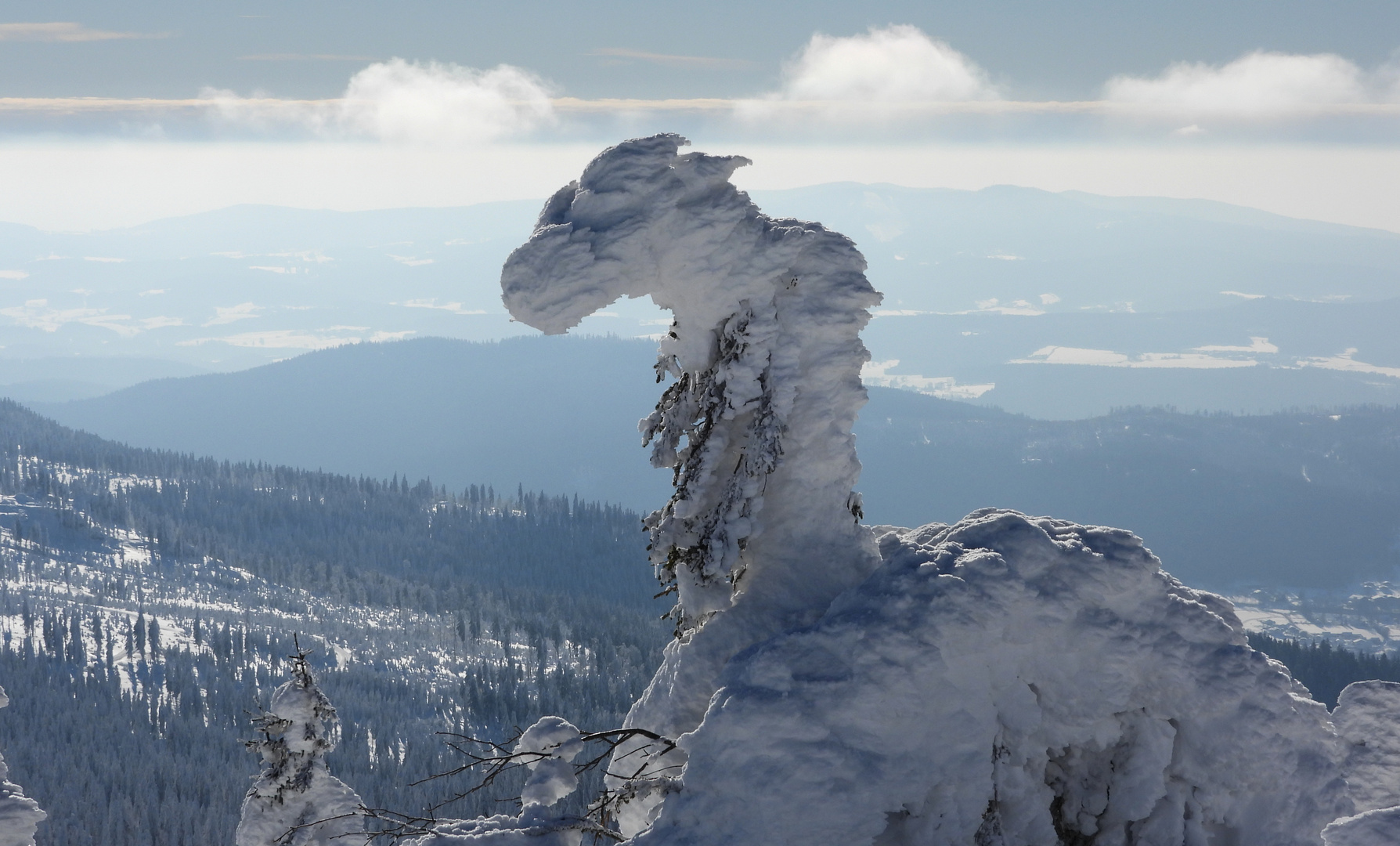 Auf dem Großen Arber Foto & Bild | winter, schnee, natur Bilder auf ...