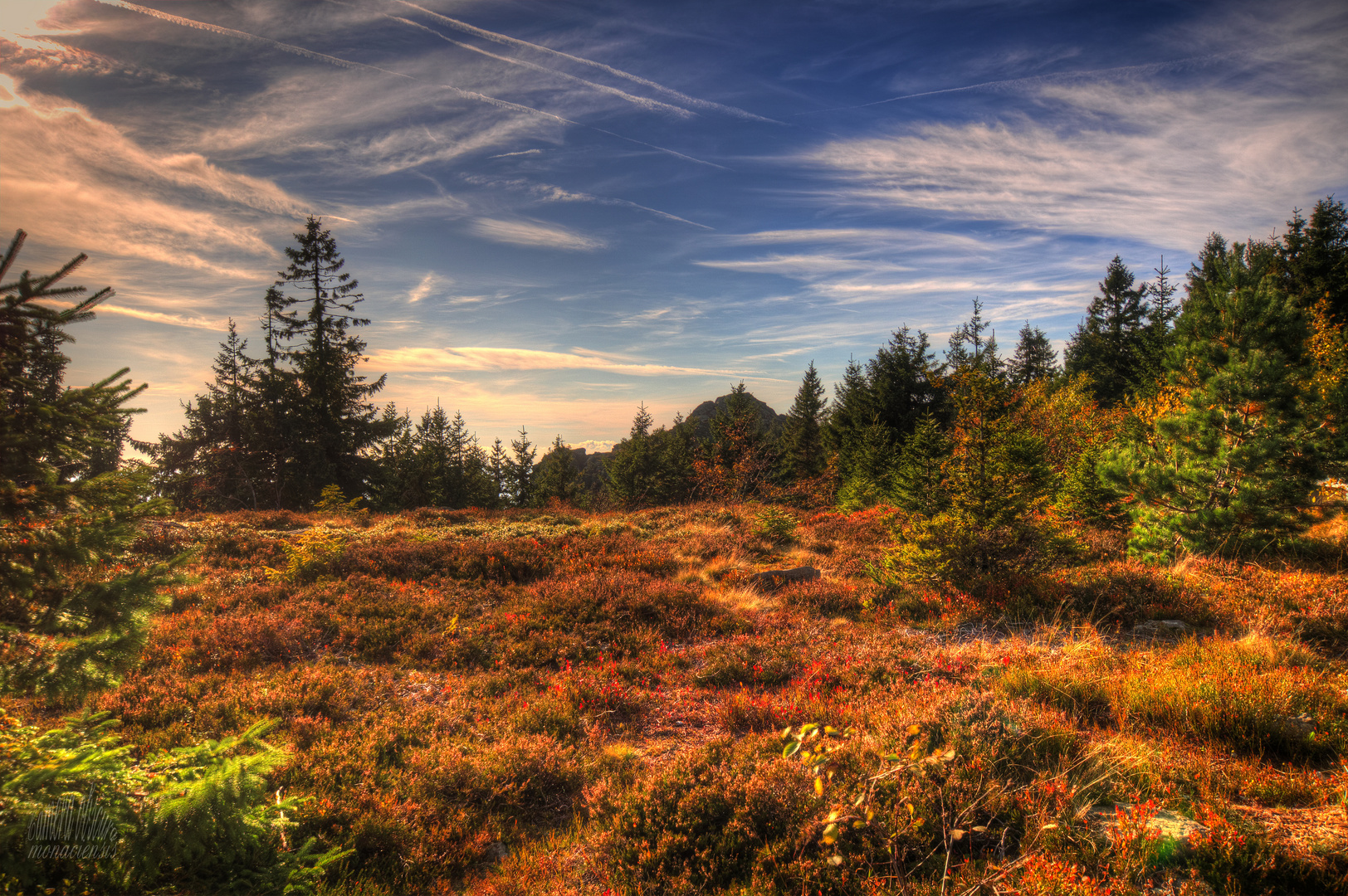 Auf dem Großen Arber Foto & Bild | deutschland, europe, bayern Bilder ...